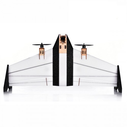 Arkbird VTOL Vertical Takeoff And Landing Electric FPV RC Aircraft ...