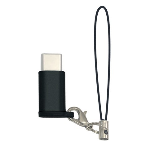 Speedy Bee Adapter 2 120mA 1-6S Micro USB to USB C Converter for RC FPV ...